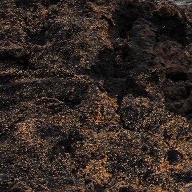 Product & Services - Menthobi Hijau Lestari